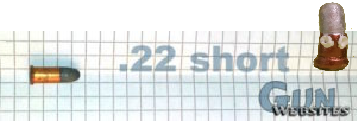 Bullet Clips | Ammo Buyers Guide